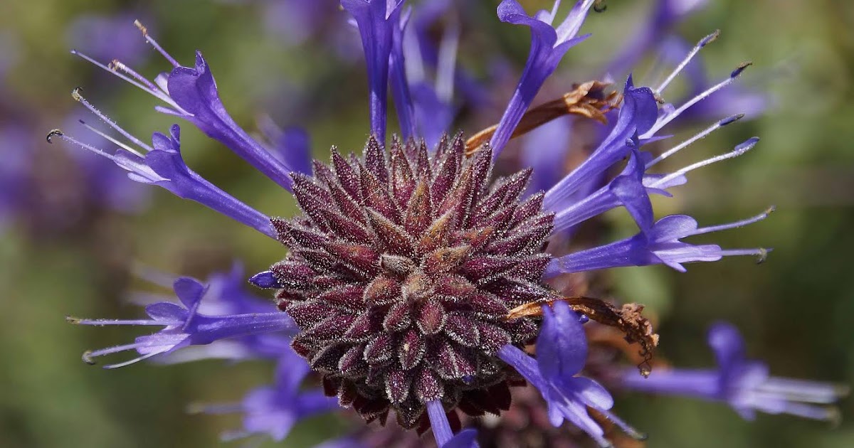 Change And The Fourth Of July