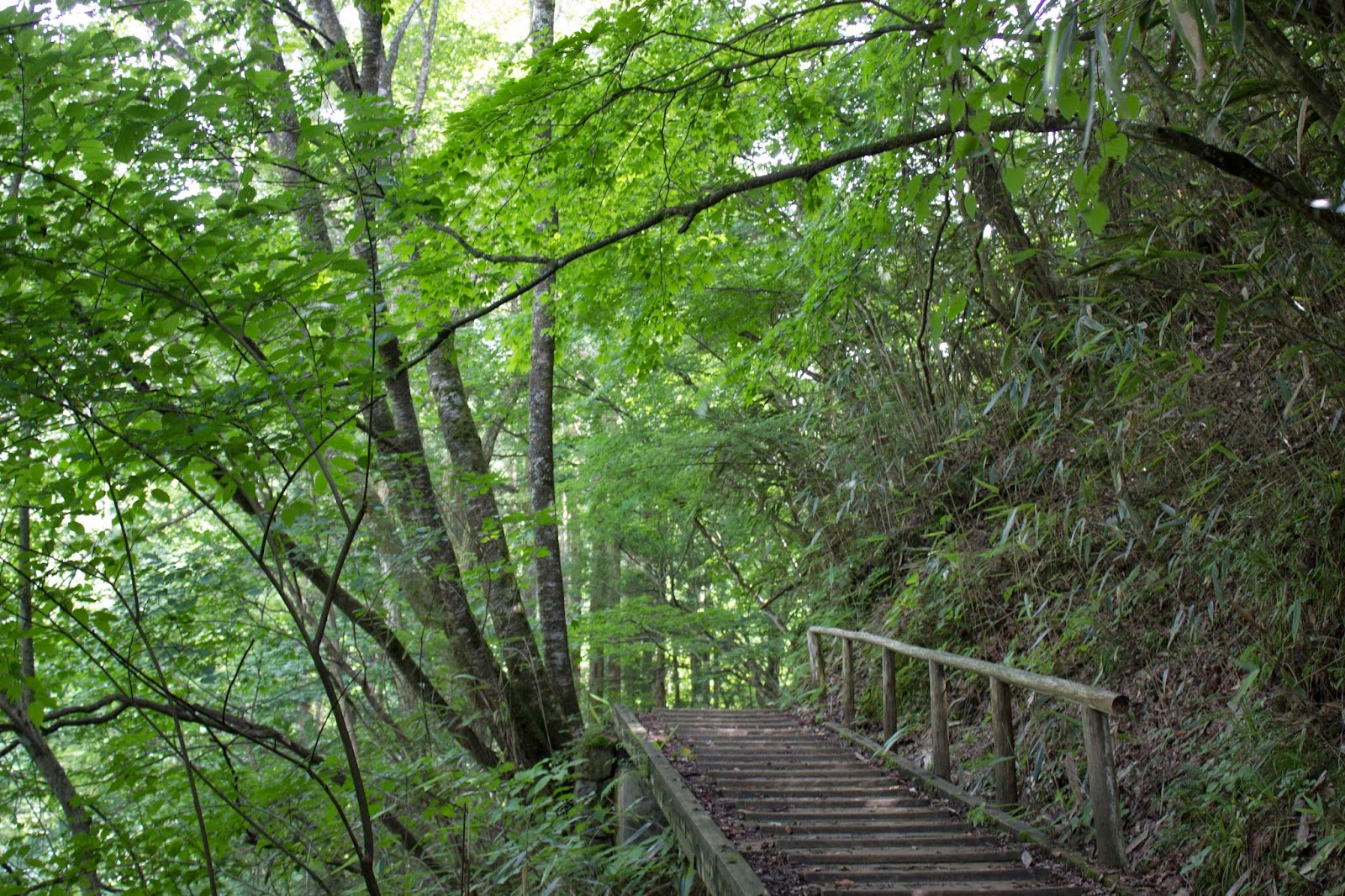Kisoji, von Tsumago nach Magome : FOTOtogisu - Reiseblog