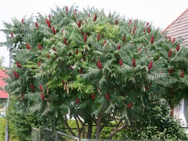 Baeza, Fotografía e Historia: BAEZA. UNA POTENCIA ECONÓMICA DE LA ...