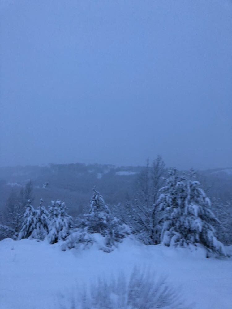El rincón de Rida: Está nevando!