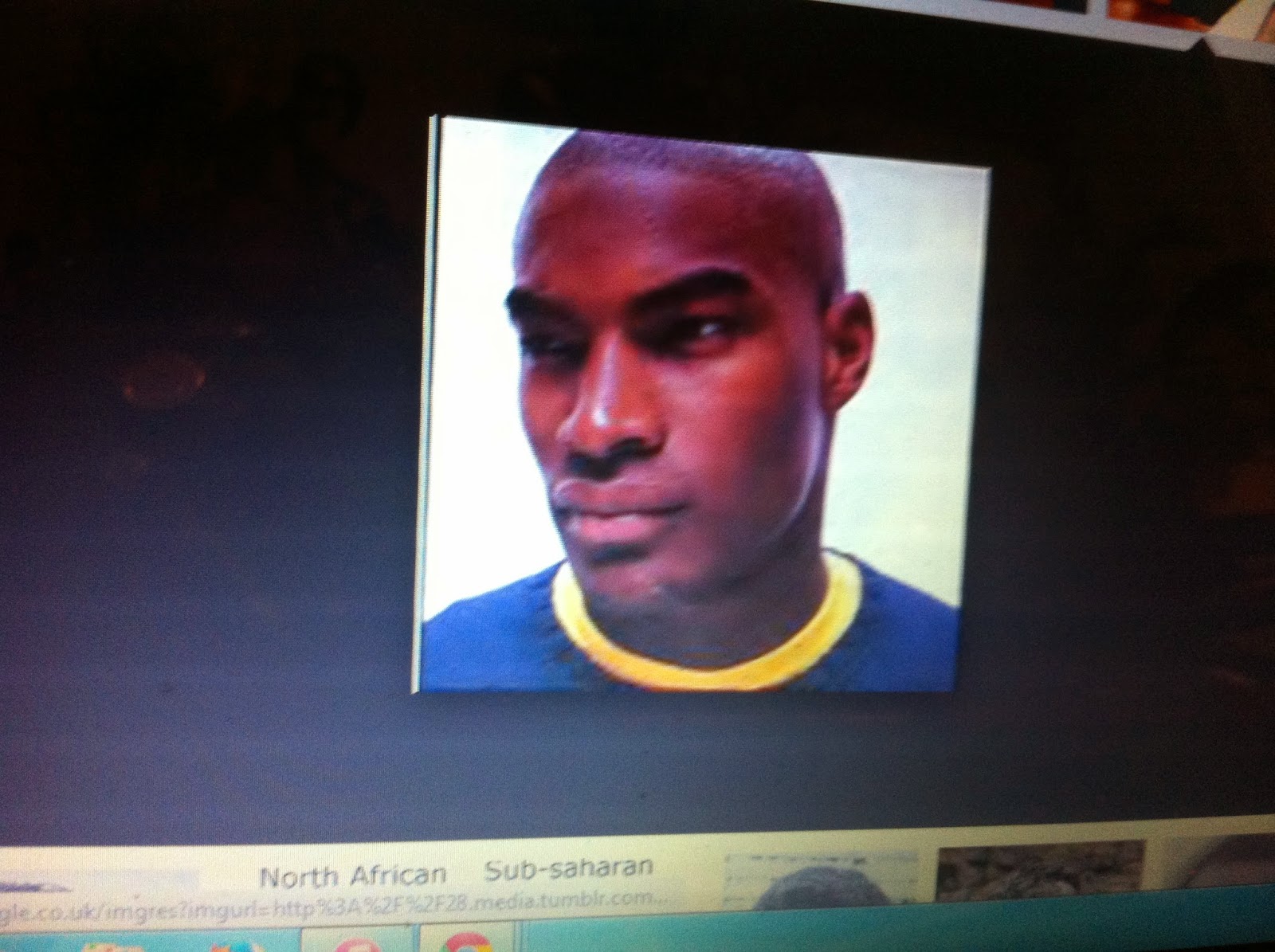 THE BLACK SOCIAL HISTORY:: BLACK SOCIAL HISTORY : NEGROID - IS THE TERM ...