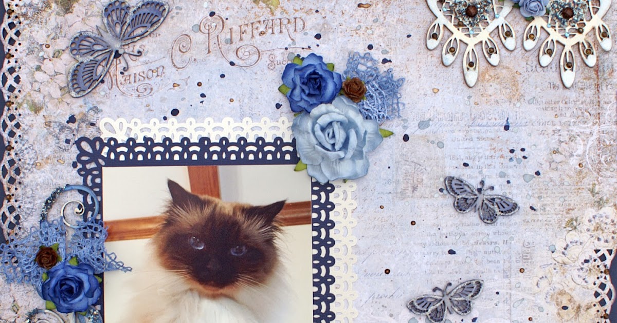 iluvcats and scraps: Kitten Face