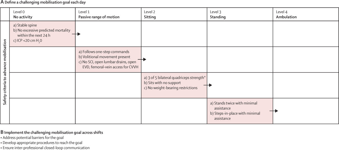 Reflexões sobre Fisioterapia Hospitalar: Como prescrever minha Terapia ...