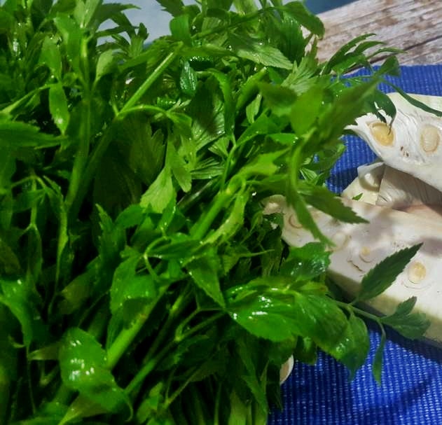 SurayaMSyed: Kerabu Daun Selom