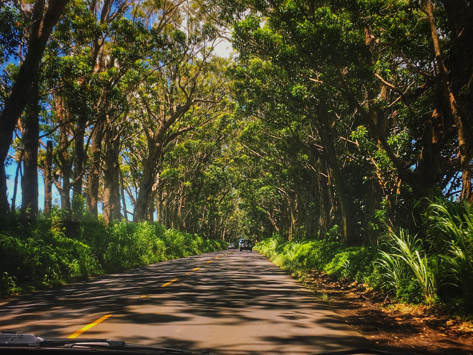 Malaysian Meanders: Kauai's South Side