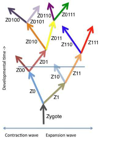 SoftwarePhysics: May 2014