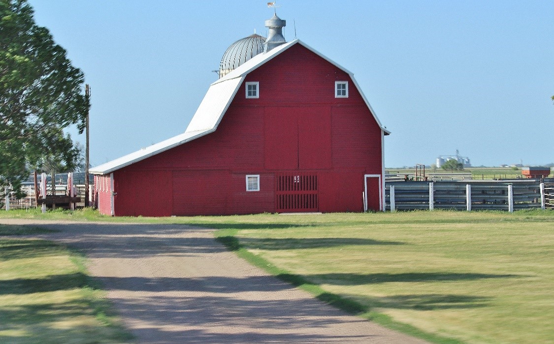 Sarah Lynn's Nature's Splendor: Journal: County Fair