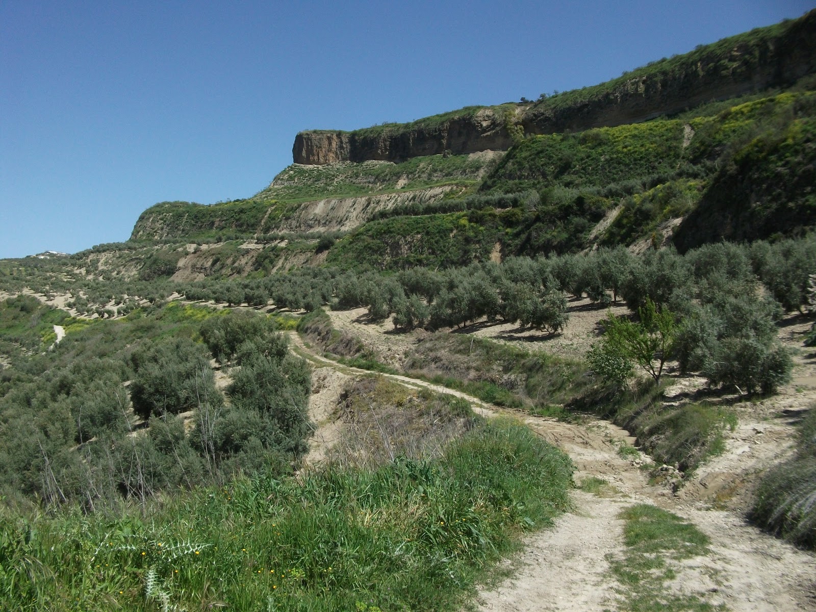 Olvera Adventure: The Escarpment walks