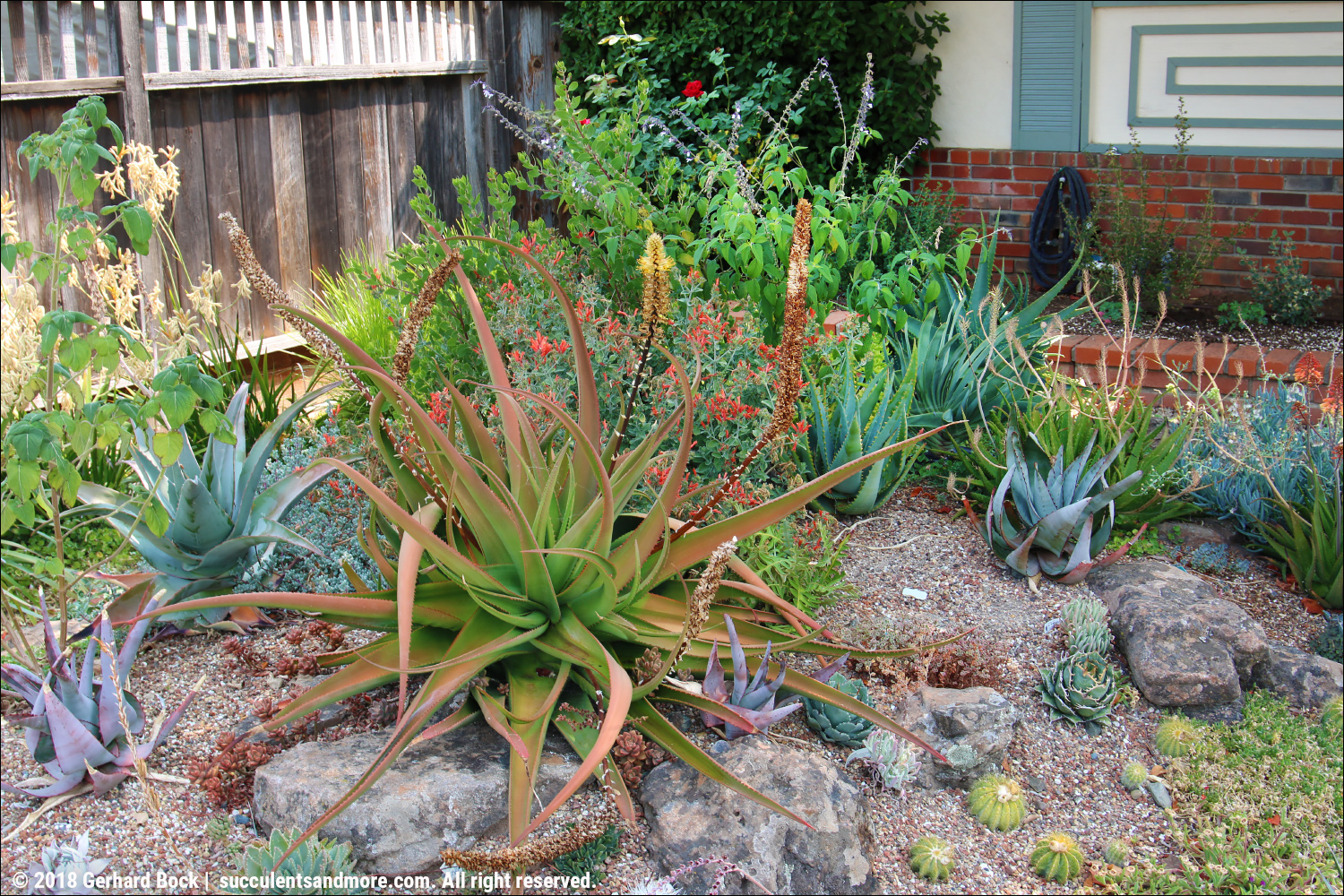 Around the world on 6,000 sq.ft.: Brian's miniature botanical garden
