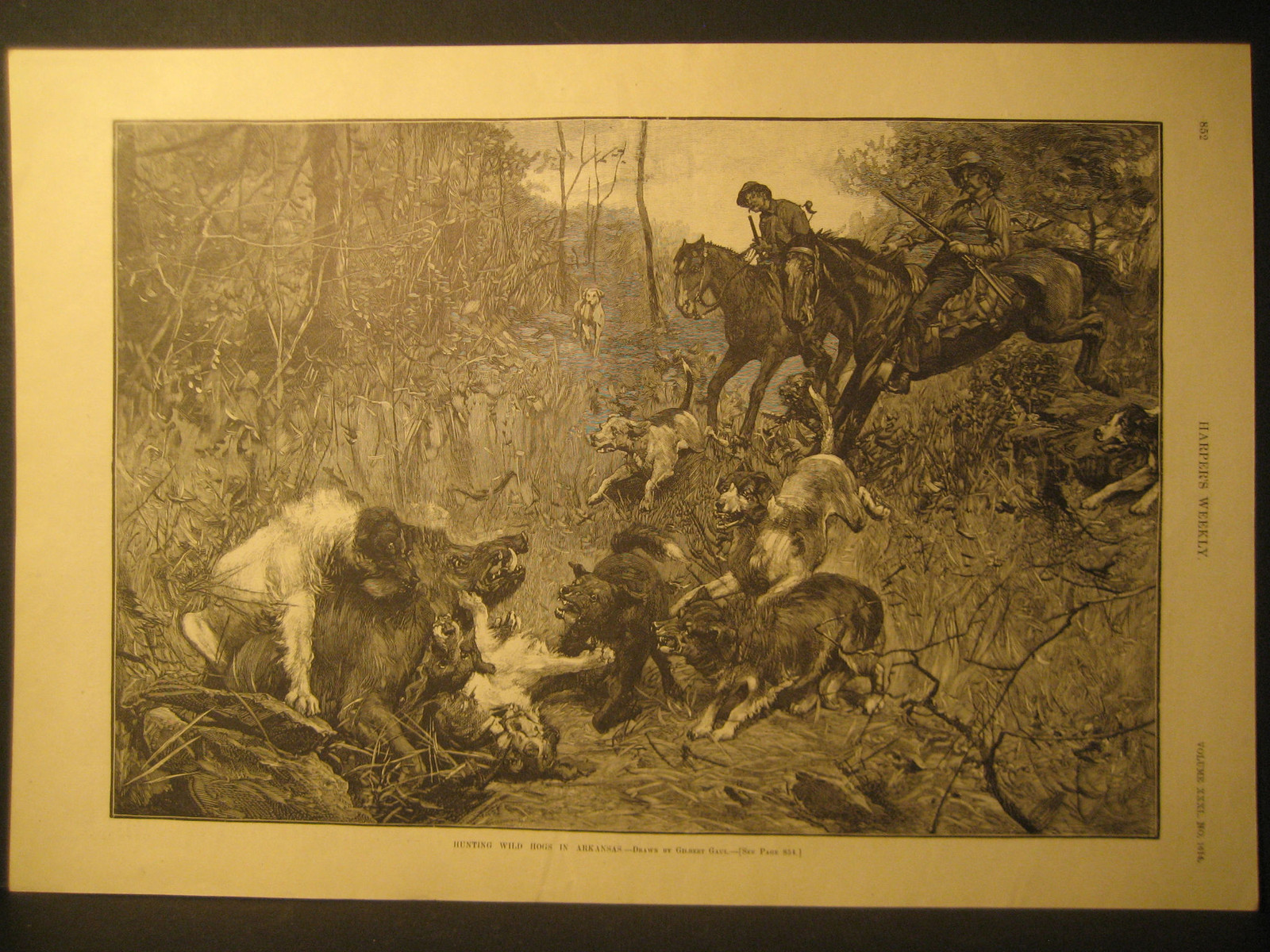 Sons of Savages: Old Hog Hunting Etchings for you Enjoyment