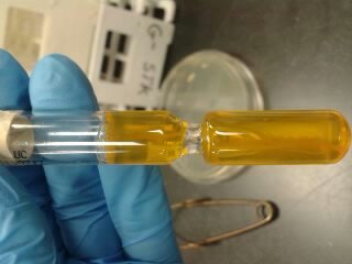 Microbiology EJournal: Day 26-Of Glucose results were a fermenter on ...