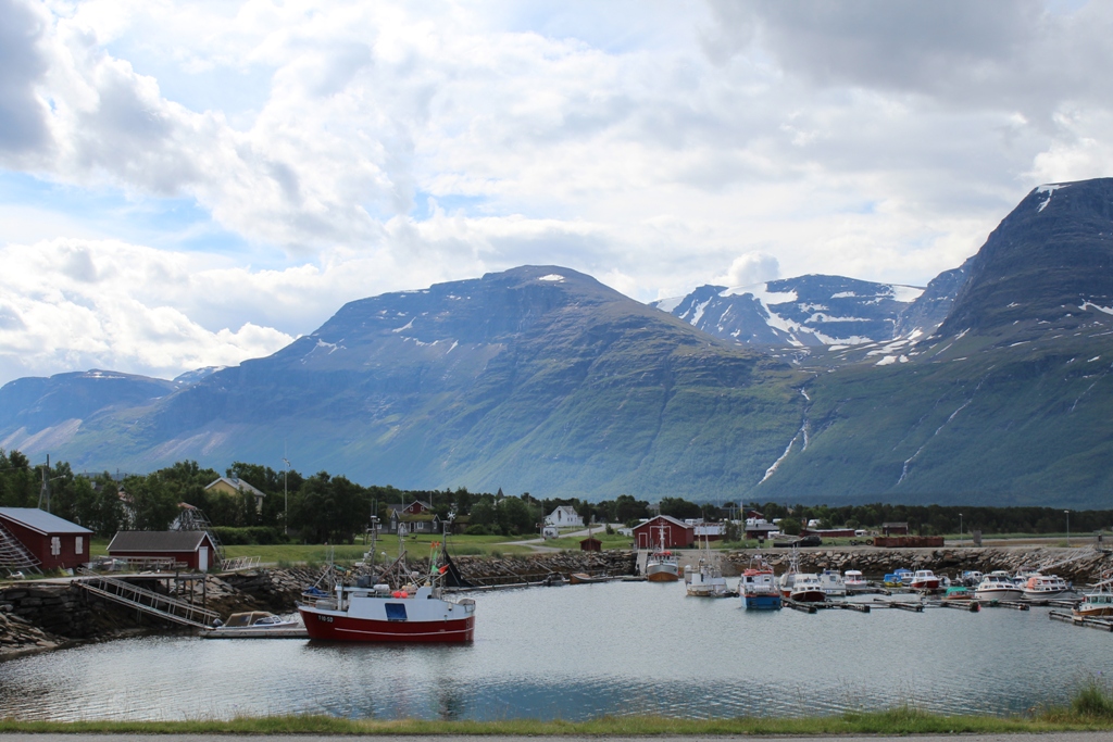 Puuvillan kesyttäjä: Kuvia Lapista
