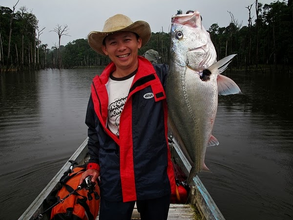 ANGLING WORLD 魔魚釣界: The Exotic Amazon Game Fish - Aimara
