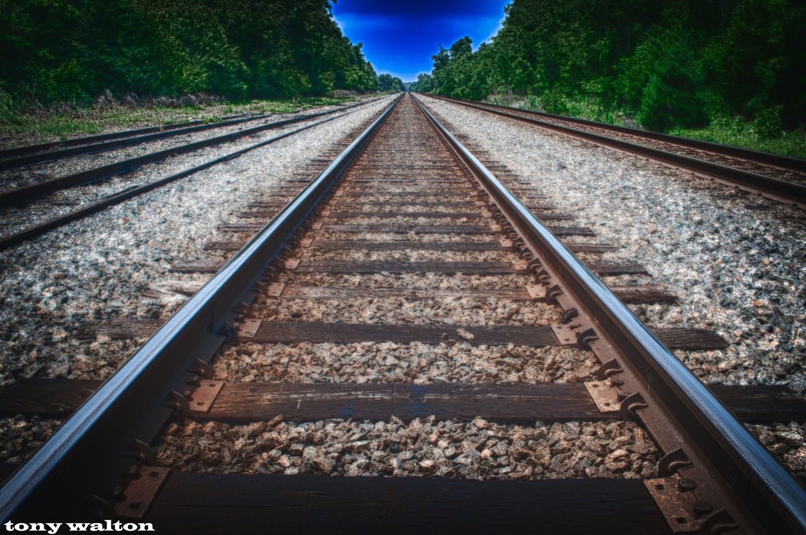 Tony Walton: Train tracks on the way to Richmond Virginia coming from ...