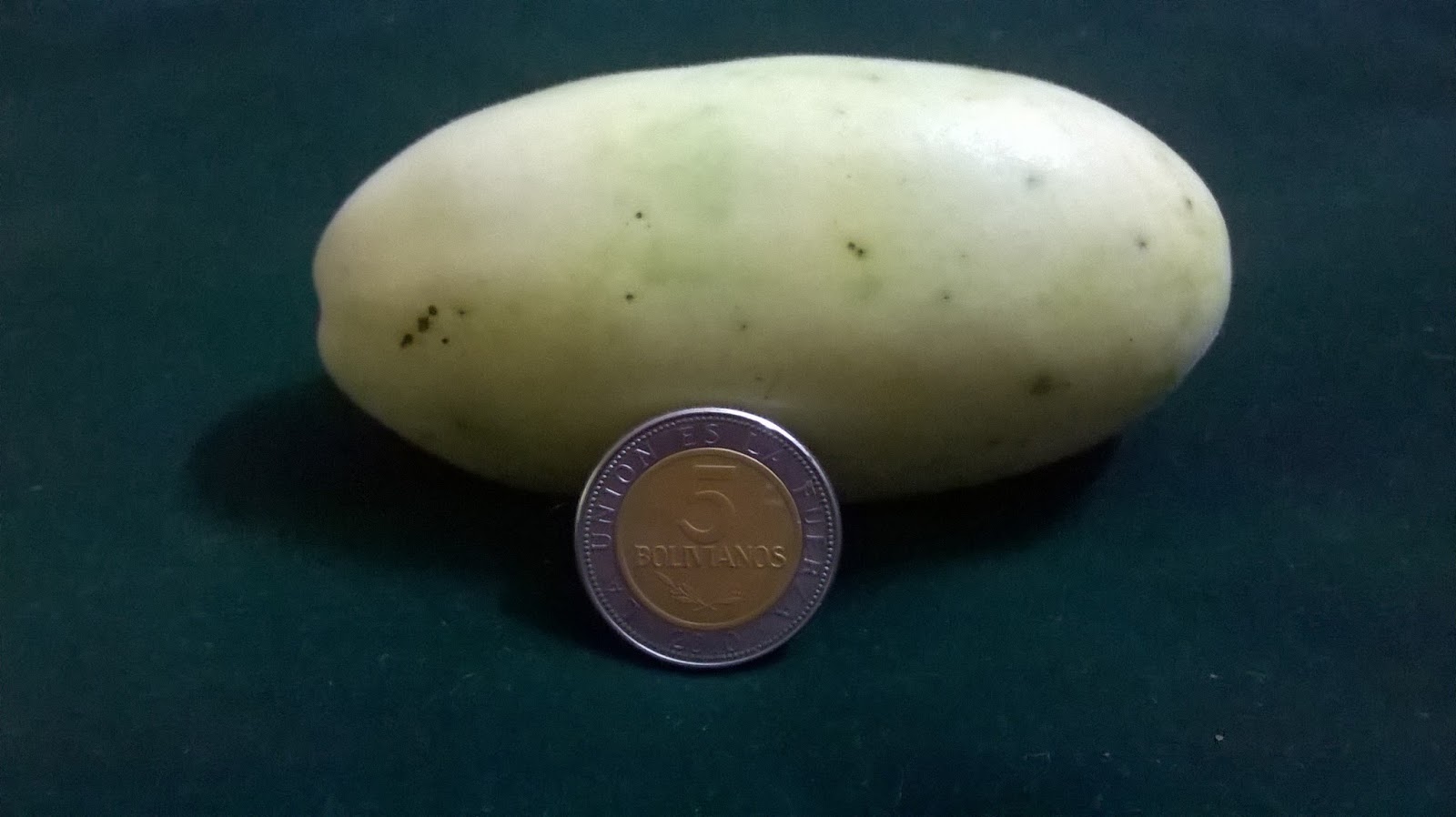 Best fresh - Mejor fresco!: El tumbo, FRUTO ancestral de los Andes de ...