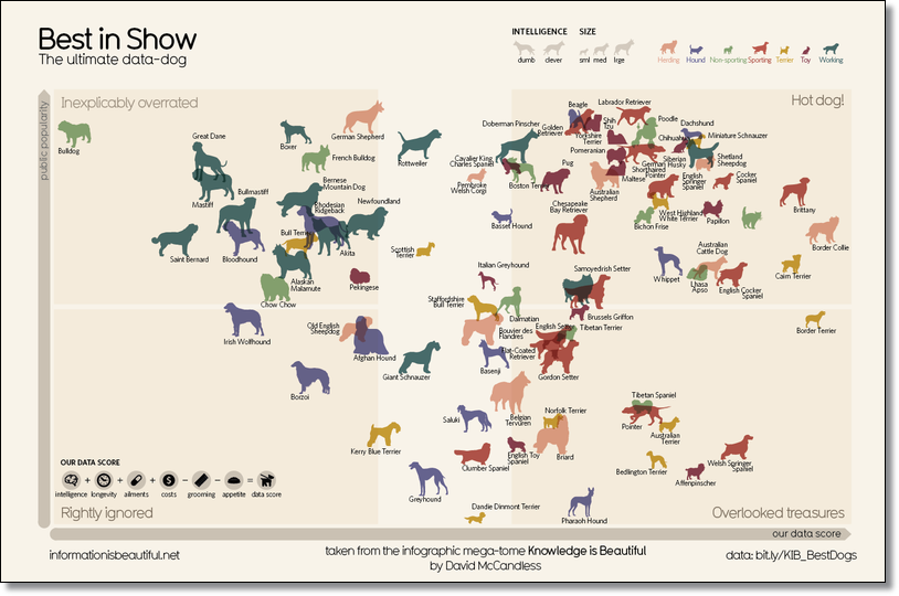 Dog Breed Tree Chart at Samantha Wendt blog