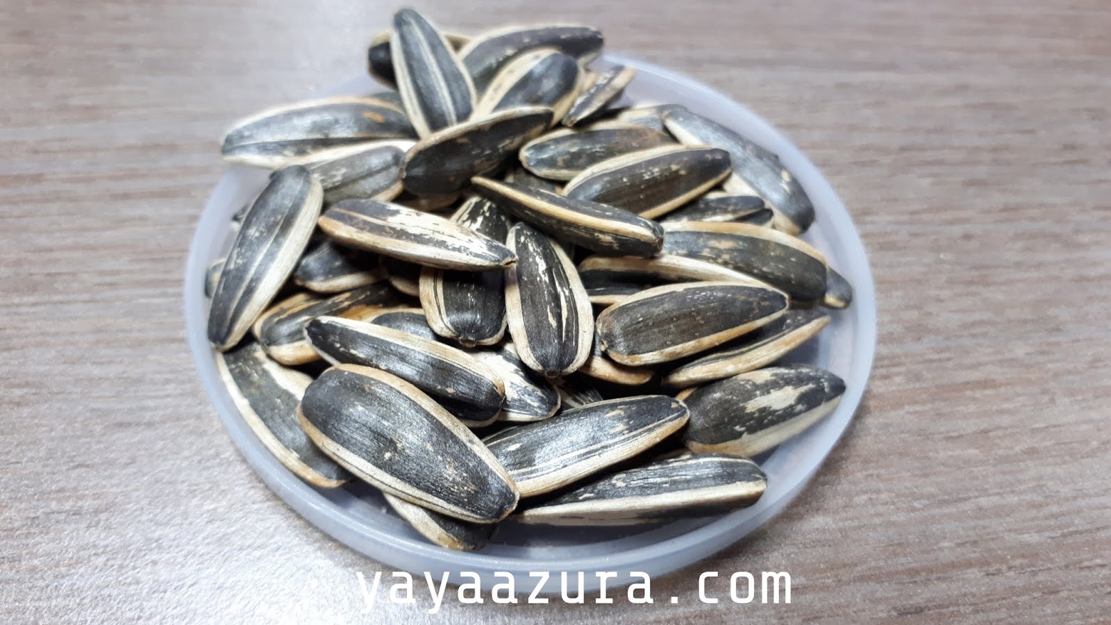 CARA SEBENAR UNTUK MENIKMATI KUACI