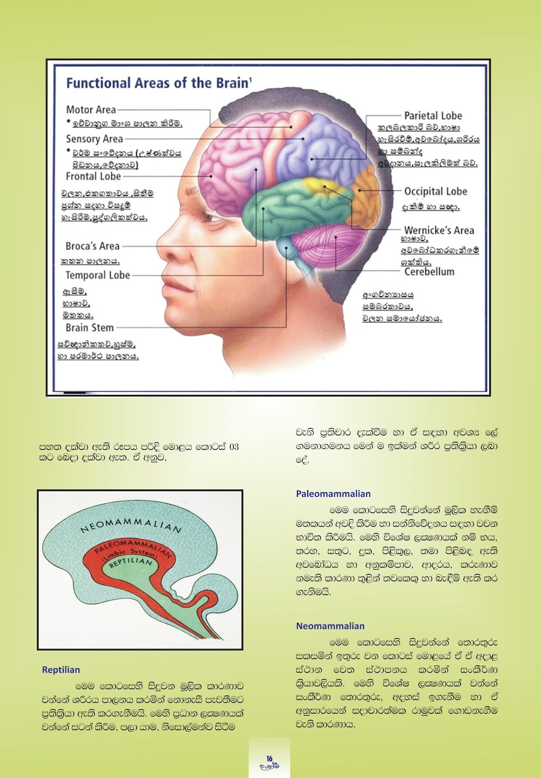 Dakma Universe: Meditation
