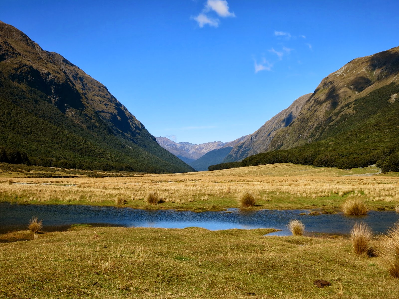 Wayfarer: Greenstone Track and Caples Track, New Zealand