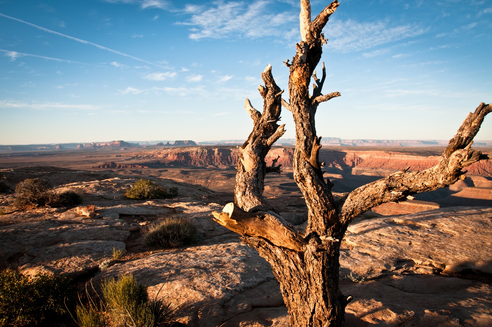 Somehowlost: Fall Road Trip 2011 - Camping at Muley Point, Utah