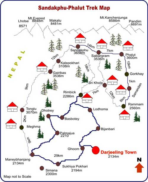Rony's Tour Info: Trek To Sandakphu and Phalut Ridge In The Foothills ...