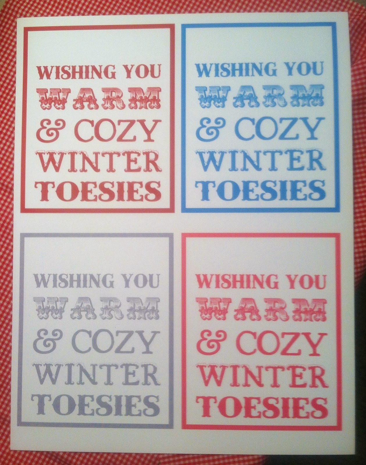 The Cozy Nest: Warm and Cozy Winter Toesies!