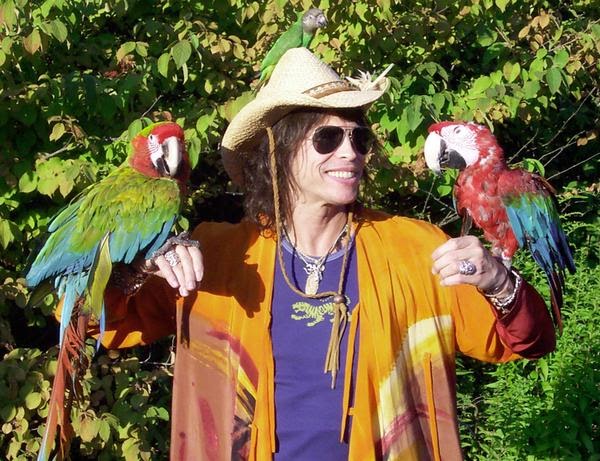Kiwi's Angels: Steven Tyler with parrots