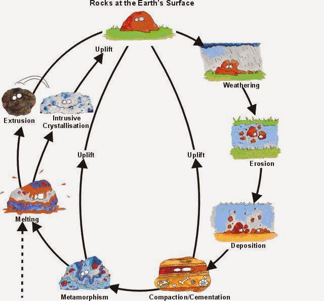 Geografi Tanah: Proses Pembentukan Tanah
