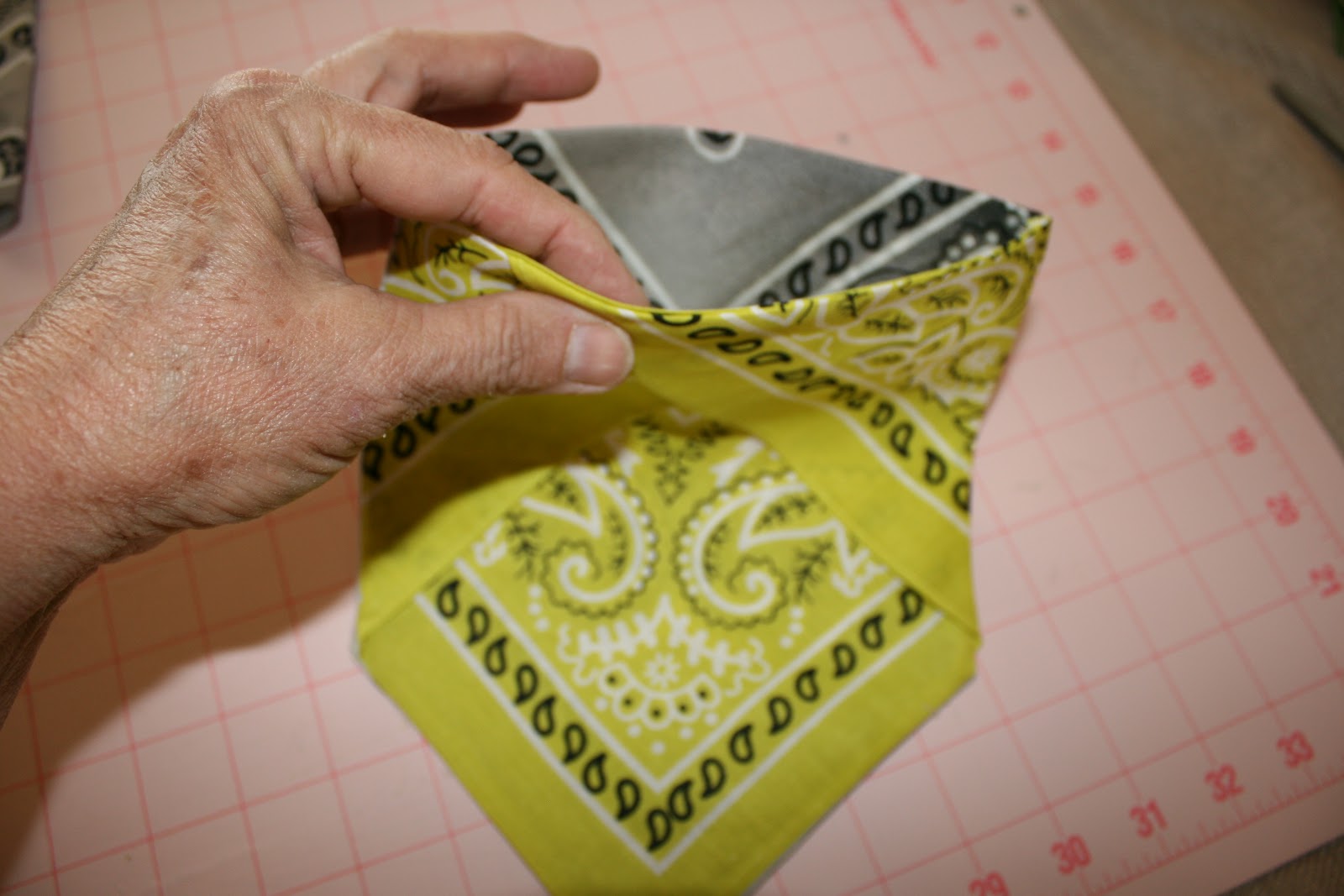 Buzzing and Bumbling: Bandana Snap Bag Tutorial