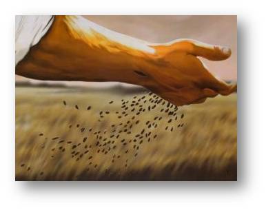 Kaila's Quiet Moments: First the Blade, Then the Ear