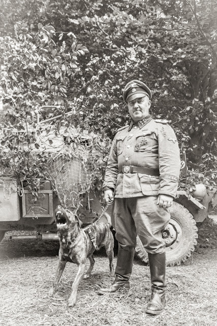 World War II in Pictures: Dogs of World War II
