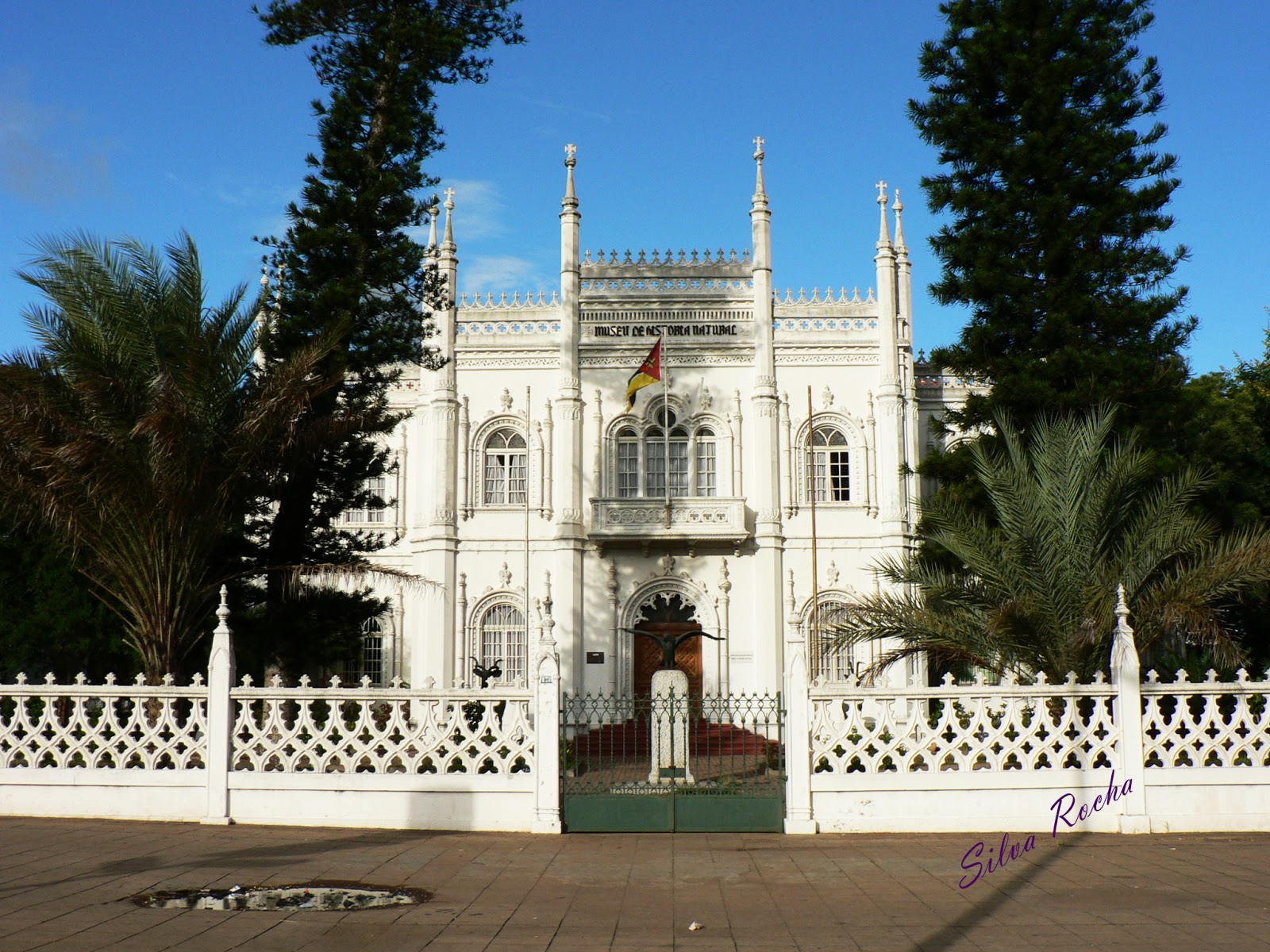 Cor e Pinceladas: Moçambique (13) - Museu de História Natural
