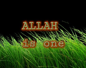 ALLAH IS ONE ~ Sajid hameed