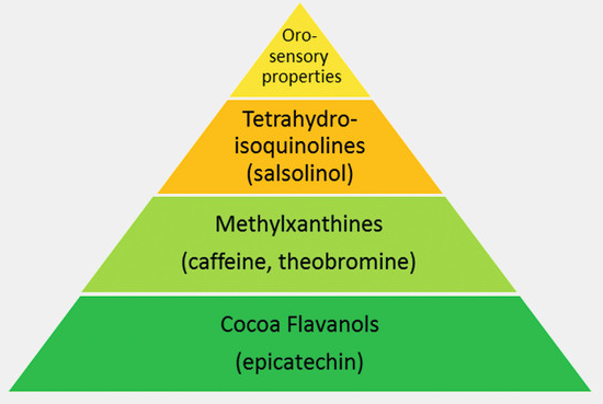 More Than a Diet Myth? Dark Chocolate/Cacao Won't Get You Jacked, but ...