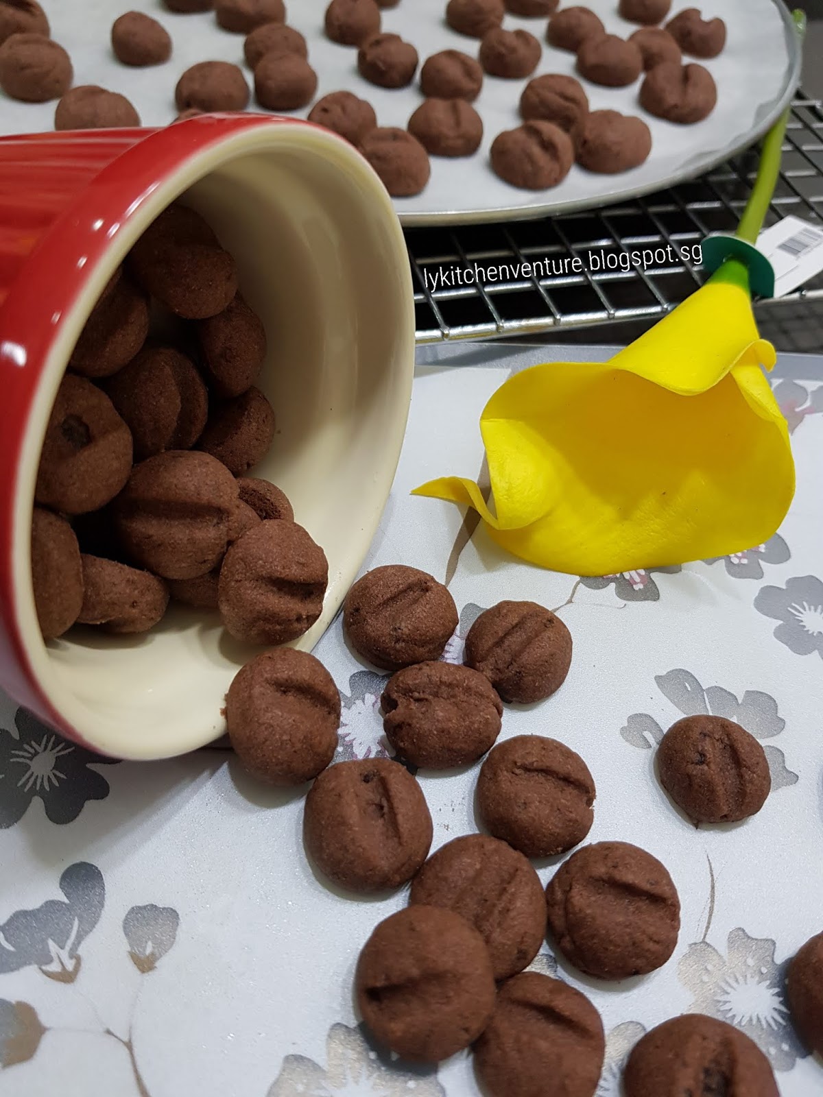 LY's Kitchen Ventures: Coffee Bean Cookies