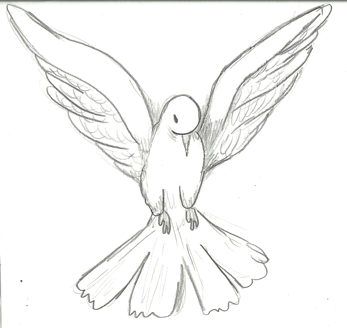 Desenho Pomba Do Espirito Santo Desenho Pomba Do Espirito Santo