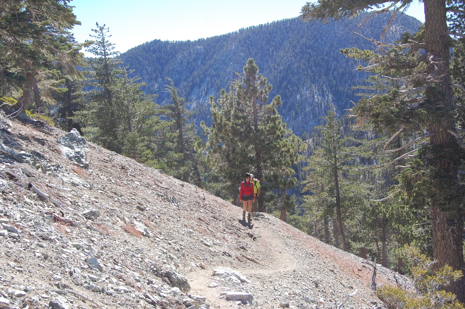 Hiking Timber Mountain | East West Hike