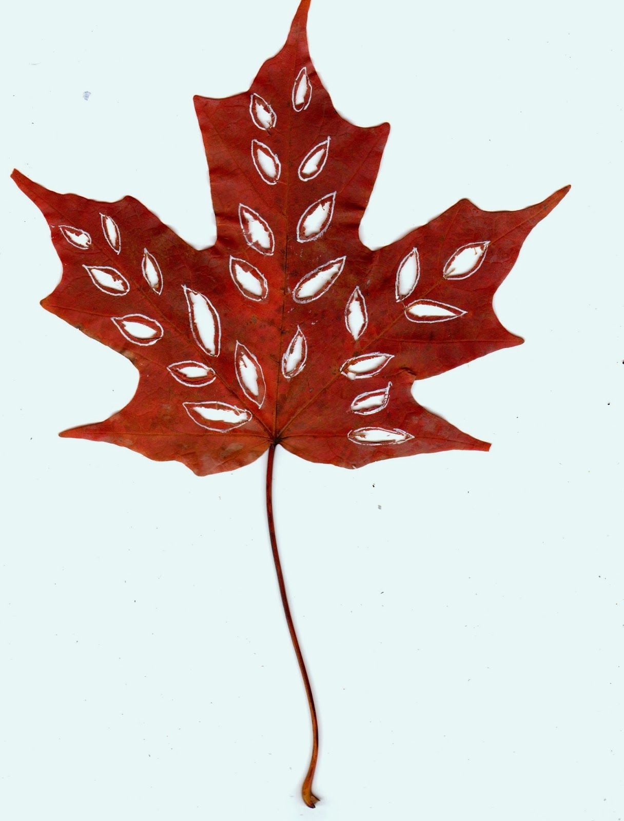 Dharmakarmaarts: Leaf Art in Autumn