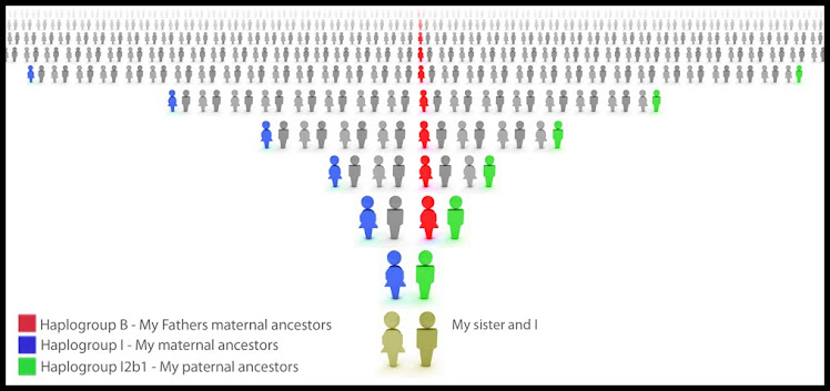 Genedocs: Family Research and Legacy Preservation