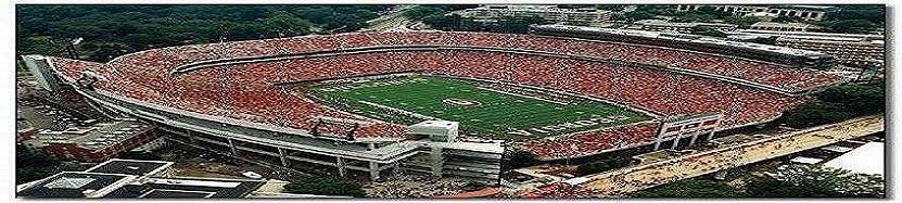 Outside (The Arena) Looking In: Pikes Peak race