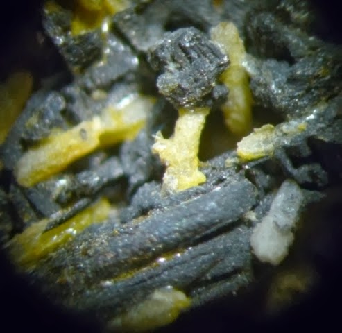 Colorado Earth Science: Cripple Creek's District Museum Mineral Collection