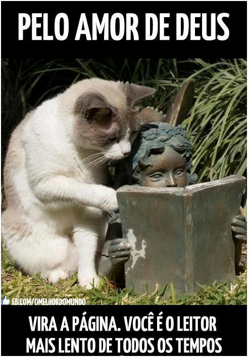 coisas de fazer rir: RIR............RIR.......