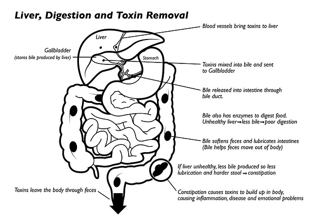 Cara Menghindari Sembelit atau Konstipasi - Ngintips-Kesehatan
