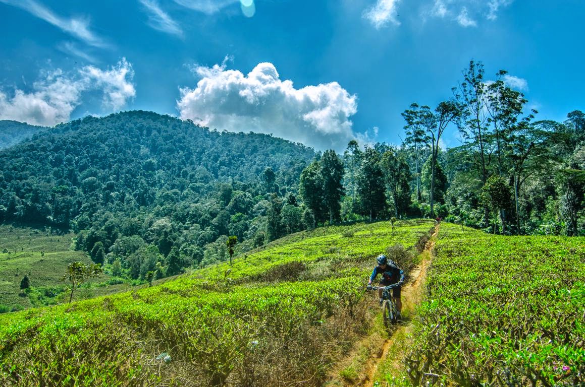Batu Belang Pangalengan - Dewata - Hutan Gunung Maud - Selap Awi, Garut ...