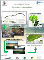 Ciliar Cabeceiras do Purus: Conservando mais que águas: Sobre o cacau ...