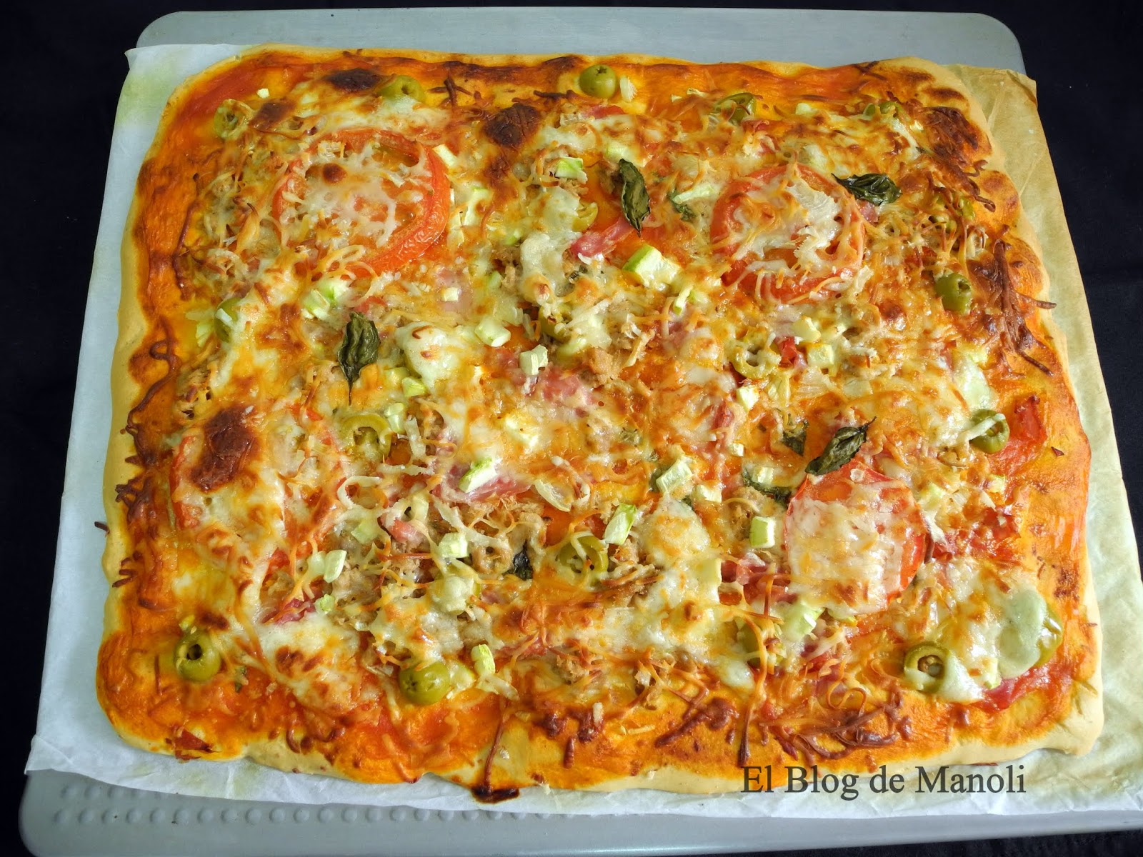 El blog de Manoli: Pizza con masa de camaleonica