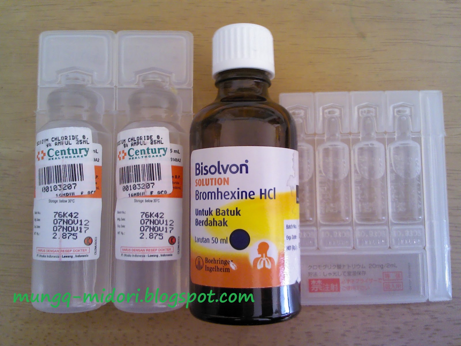 Cosas de la Vida: Inhalasi untuk Meredakan Bronkitis