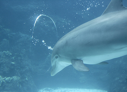 Life and Beyond: July 2013