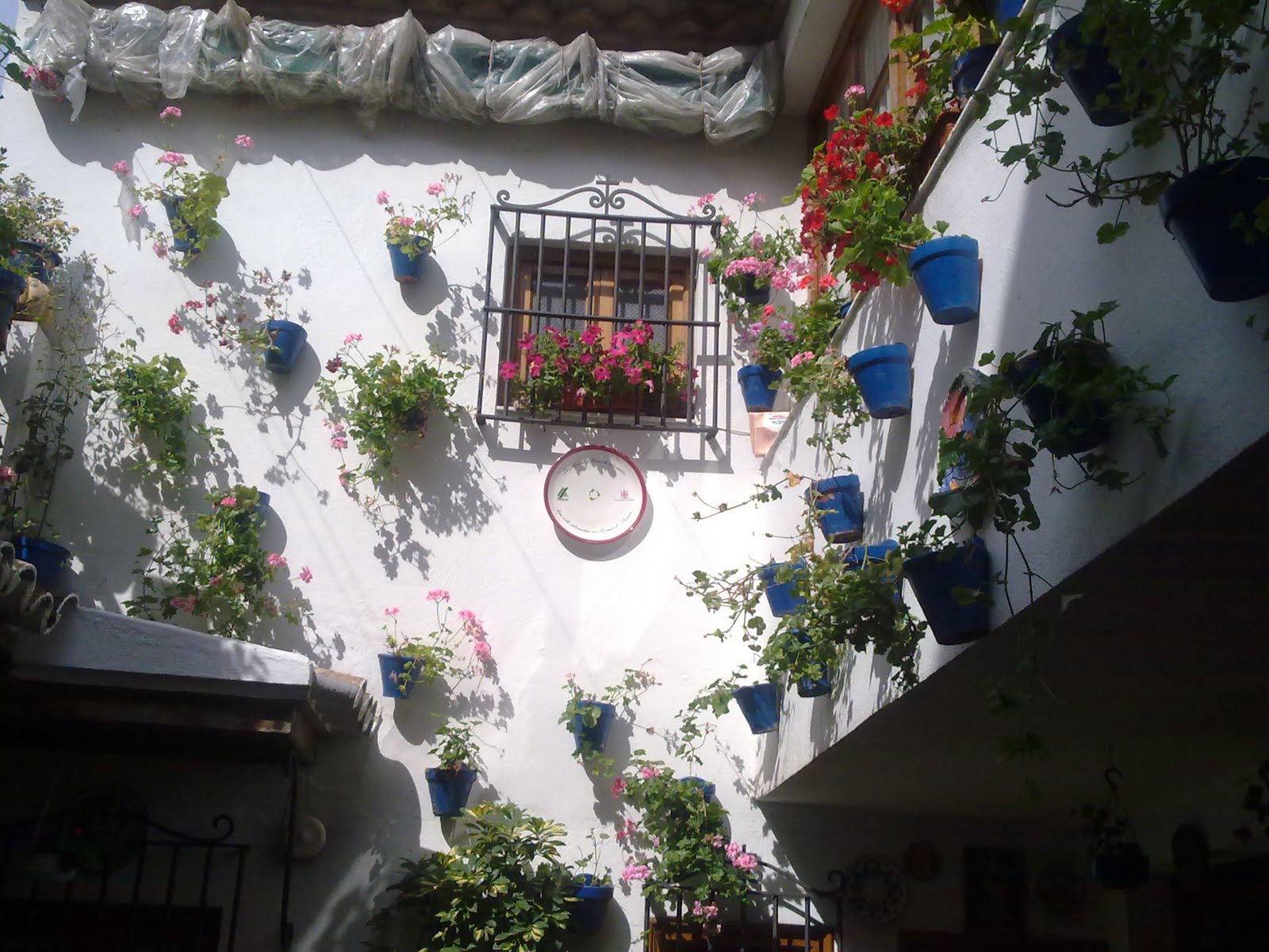 ANABEL: PATIOS CORDOBESES