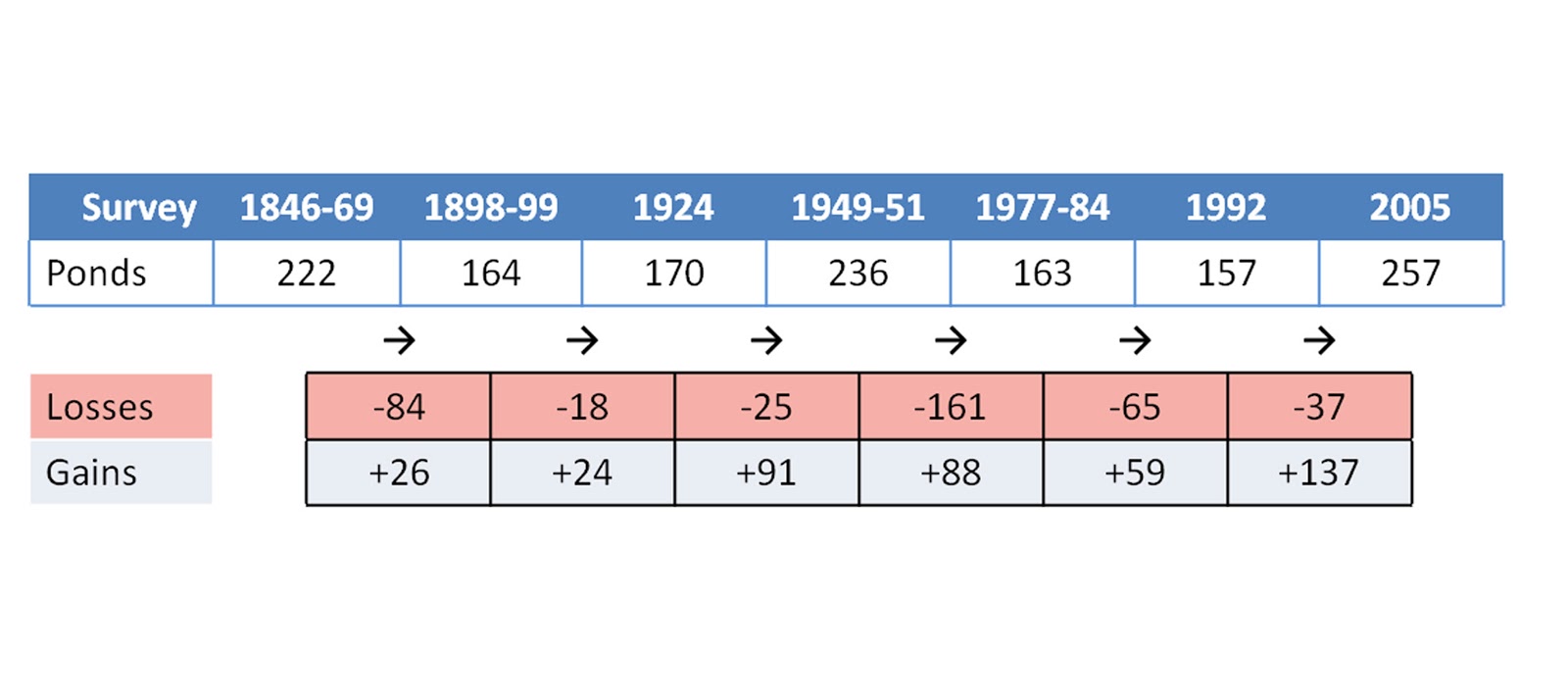 Ponds, time and place. A Druridge Bay Northumberland blog: The ponds ...